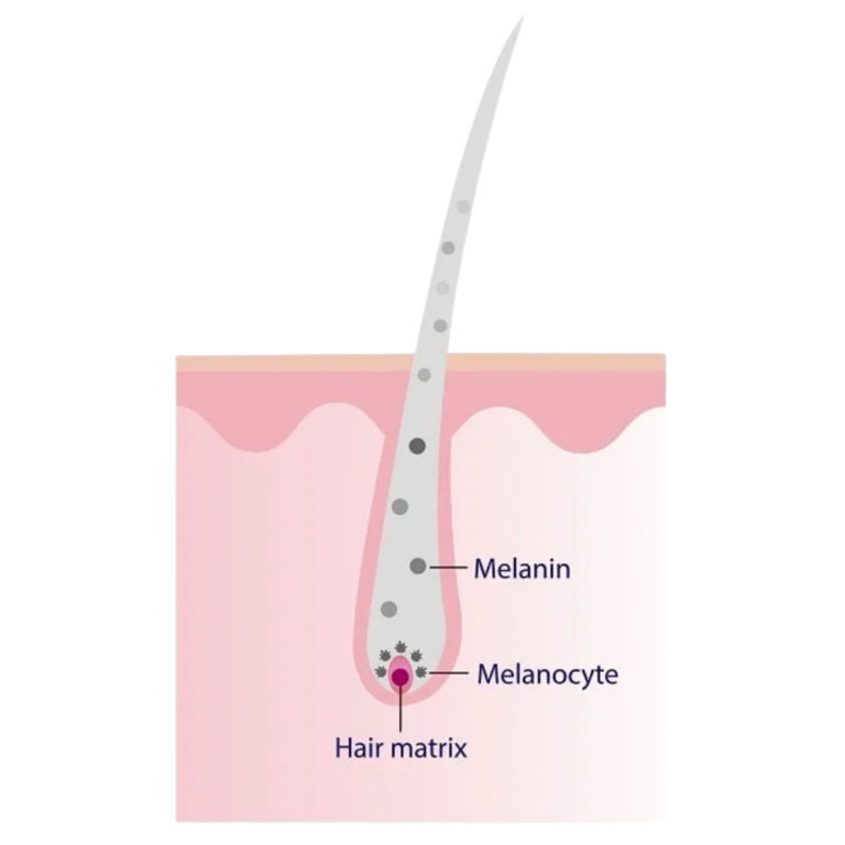 Pulled a Grey Hair? Here’s What Really Happens Next! - De Arte Hair Studio